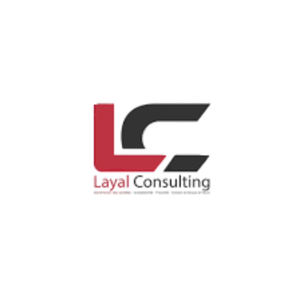 Layal Consulting : Offres de Stage et 1er Emploi | Stagiaires.ma